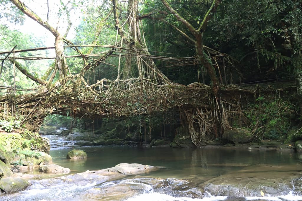 Umngot River in Meghalaya: Best Time, How to Reach, and Tips