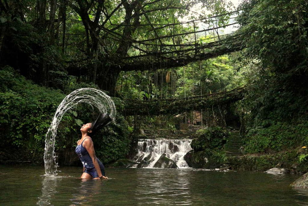 Umshiang Double Decker Living Root Bridge - Quick Travel Guide