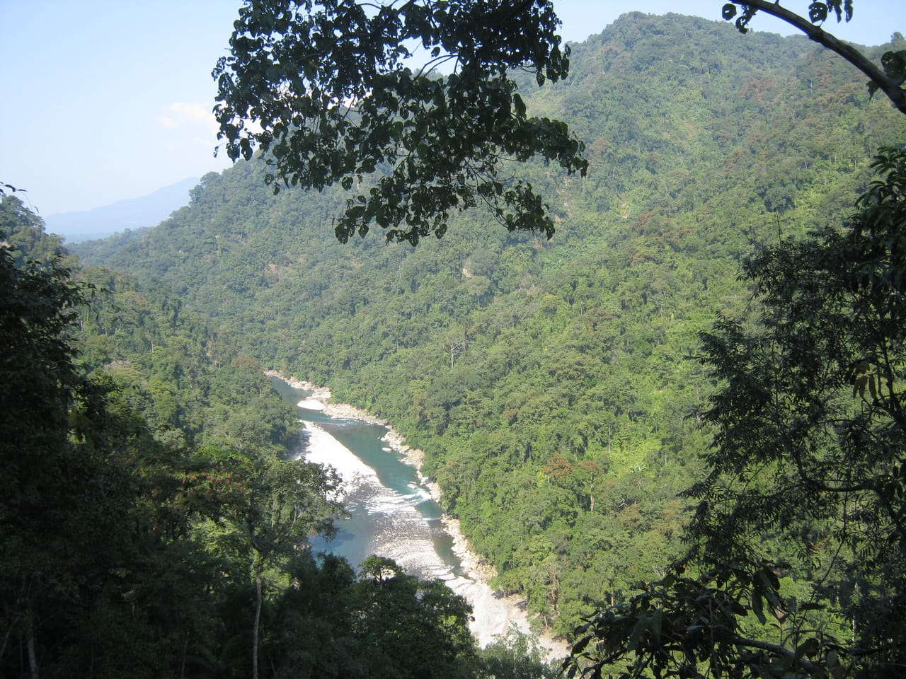 Namdapha National Park: Travel Guide 2026 | Safari, Wildlife & Tips